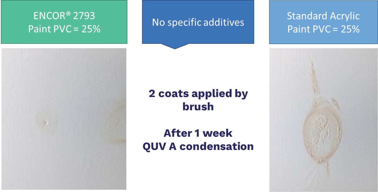 ENCOR® 2793 waterborne acrylic binder | Arkema Coating resins