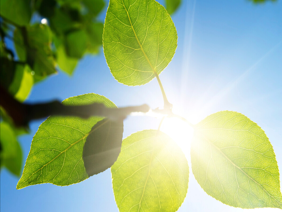 Arkema Coating Resins corporate website | Arkema Coating resins